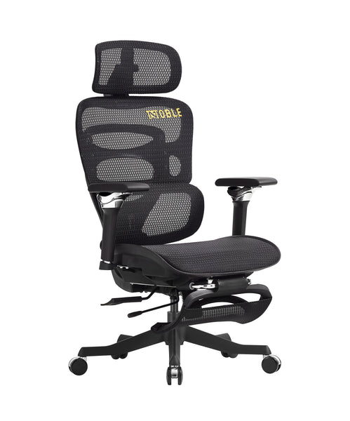 Premium Ergonomic Mesh Chair - Below $400